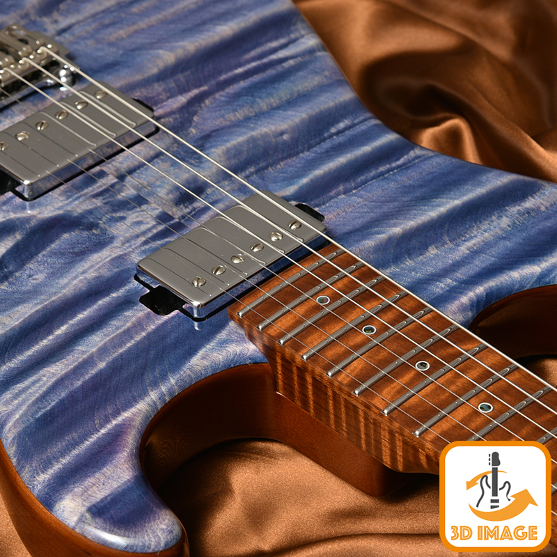 2020冬 Premium Collection | Deviser ｜株式会社ディバイザー｜長野県松本市のギターメーカー